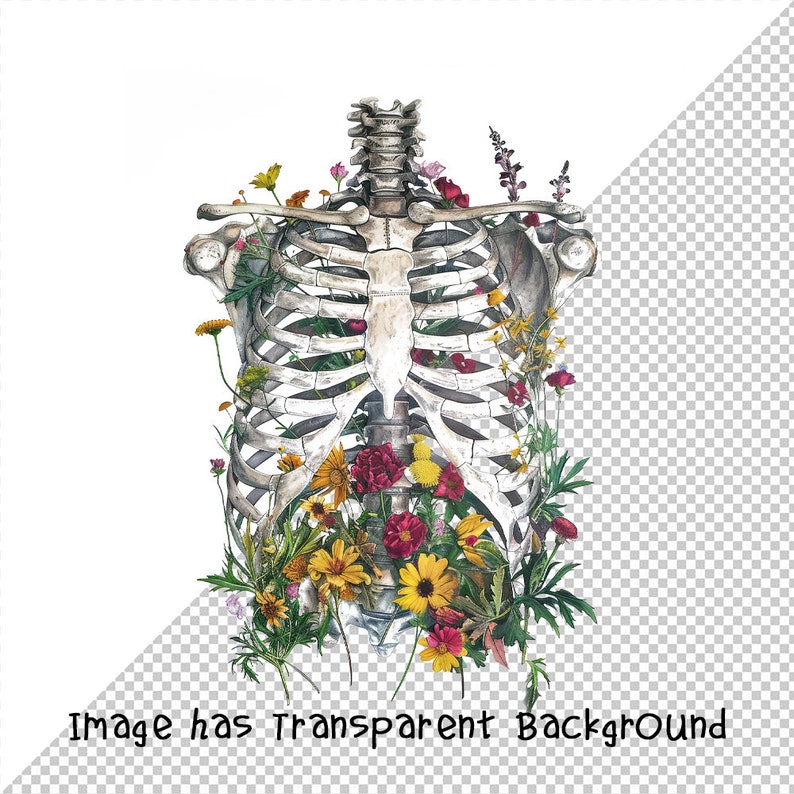 A Rib Cage With Flowers Clipart, Human Anatomy PNG, Scientific ...
