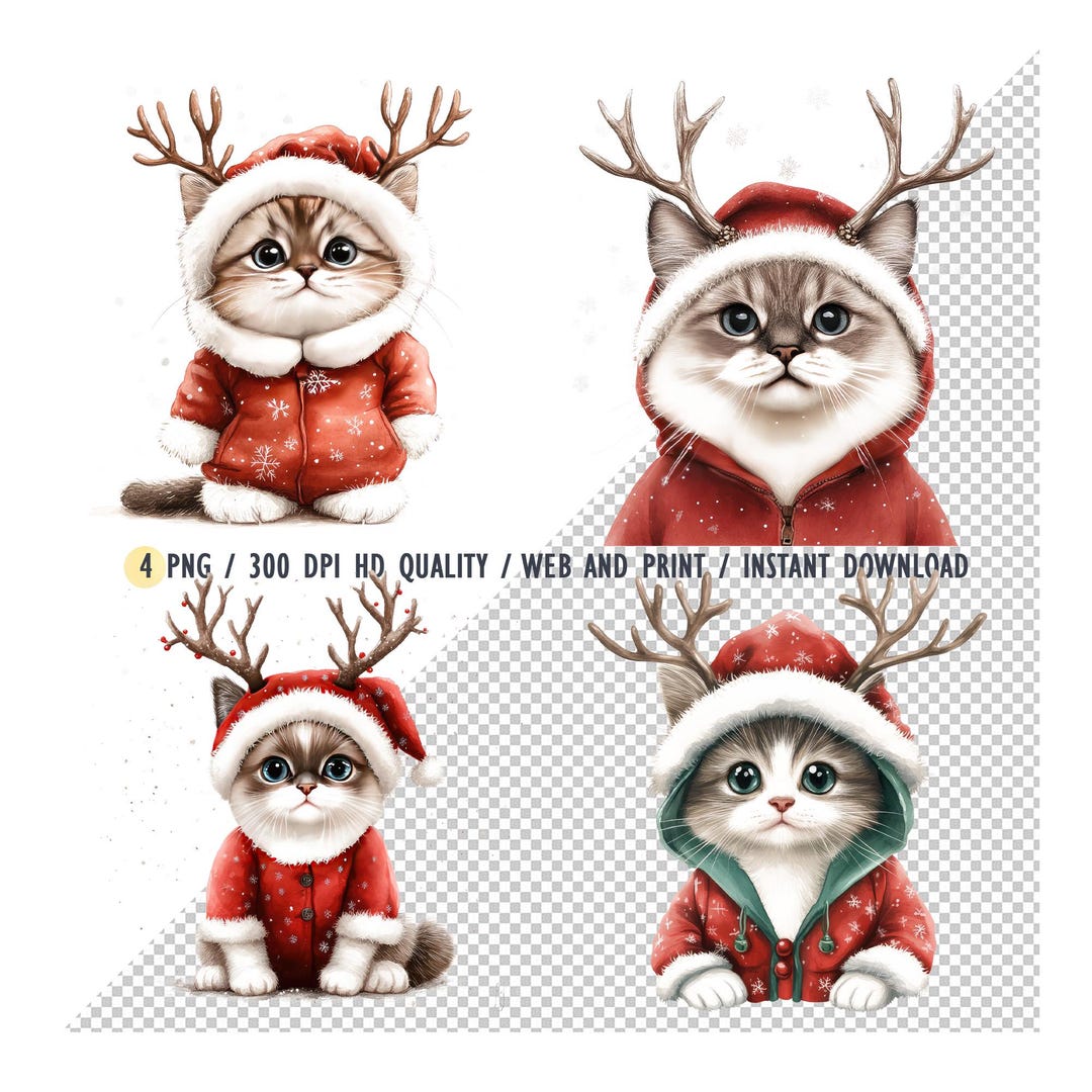 Cute Ragdoll Cat Wearing a Christmas Costume With Antlers, Christmas ...