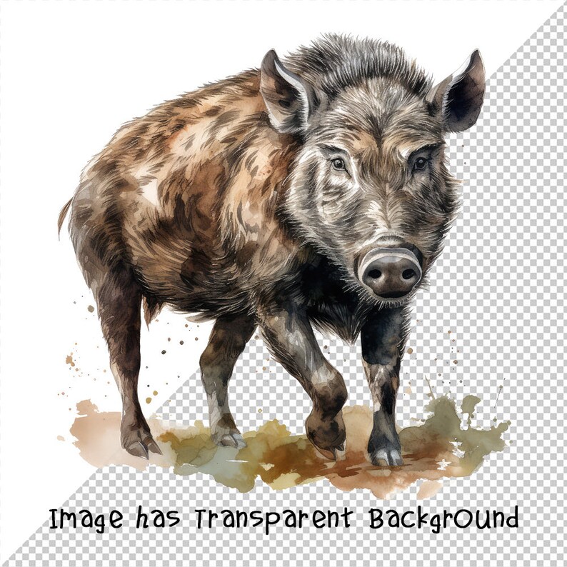 Wild Boar Watercolor Clipart, Naturalist Illustration Wild Boar PNG ...