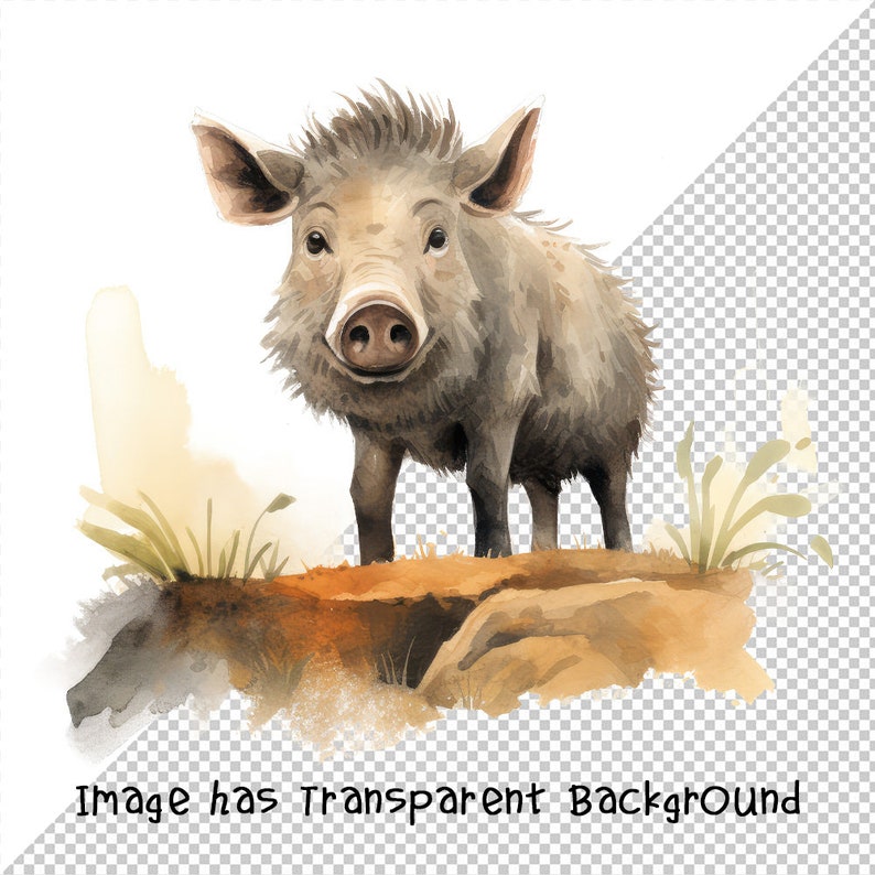 Wild Boar Watercolor Clipart,naturalist Illustration Cute Wild Boar PNG ...