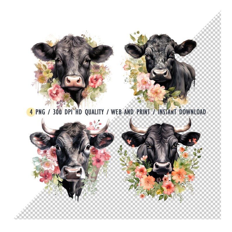 Watercolor Florals Black Angus Cow PNG, Angus Cow Flowers, Sublimation ...