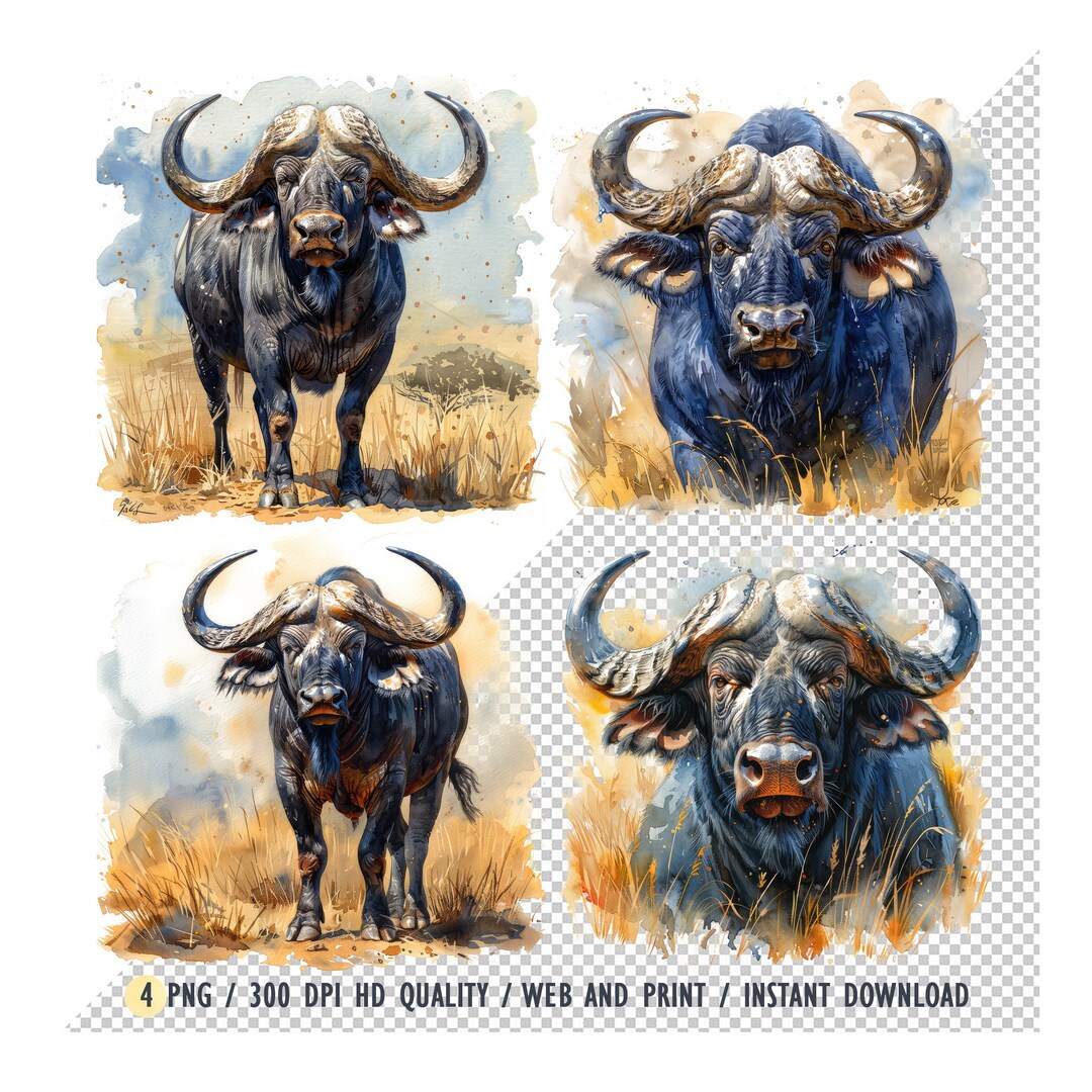 African Buffalo Watercolor, Buffalo Watercolor Clipart, High Quality ...