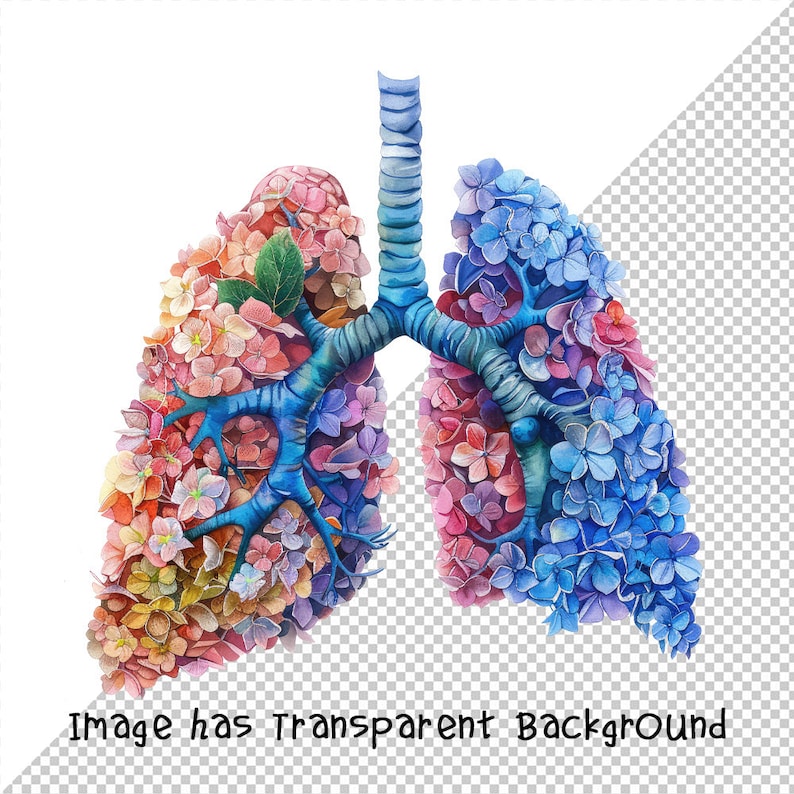 Anatomical Human Lungs Flowers Clipart, Lungs Hydrangeas Flowers ...