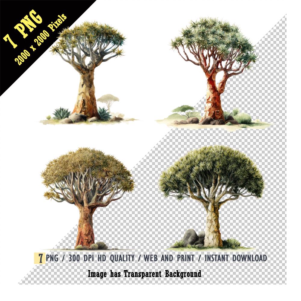 Quiver Tree Watercolor PNG, Aloidendron Dichotomum, Kokerboom, Southern ...