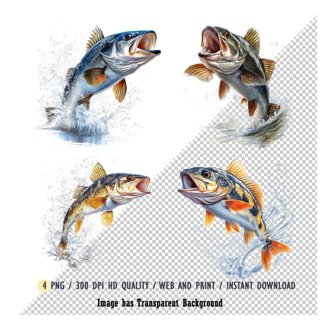 Realistic Bass Fish Breaching Water Hooked, Bass Fish Clipart, Perch ...