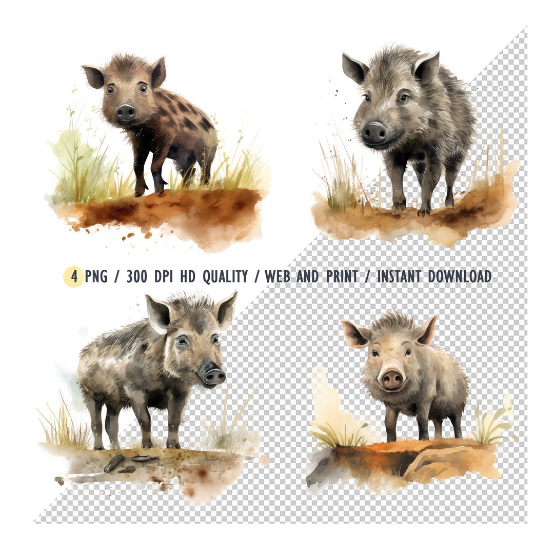 Wild Boar Watercolor Clipart,naturalist Illustration Cute Wild Boar PNG ...