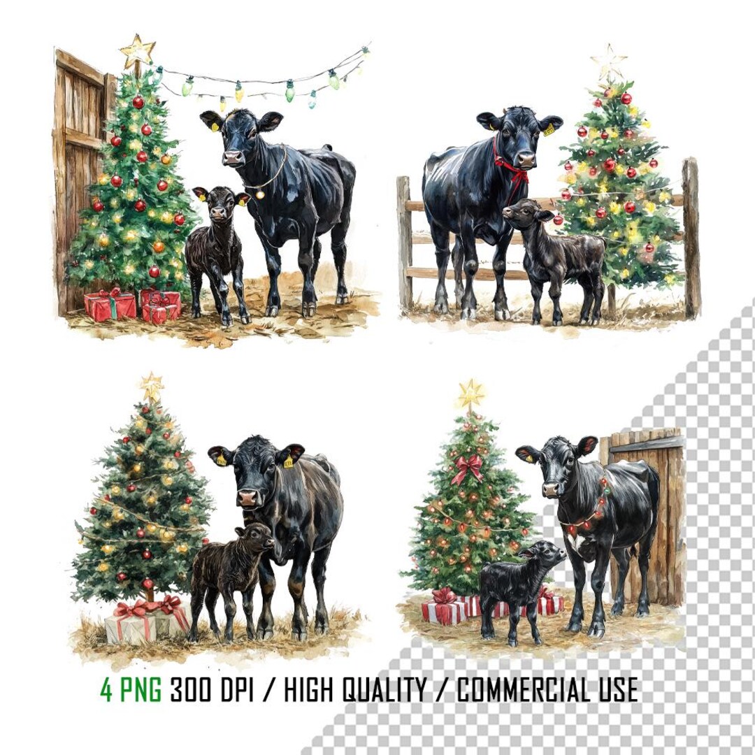 A Black Angus Mom and Baby Standing Beside Decorated Christmas Tree in ...