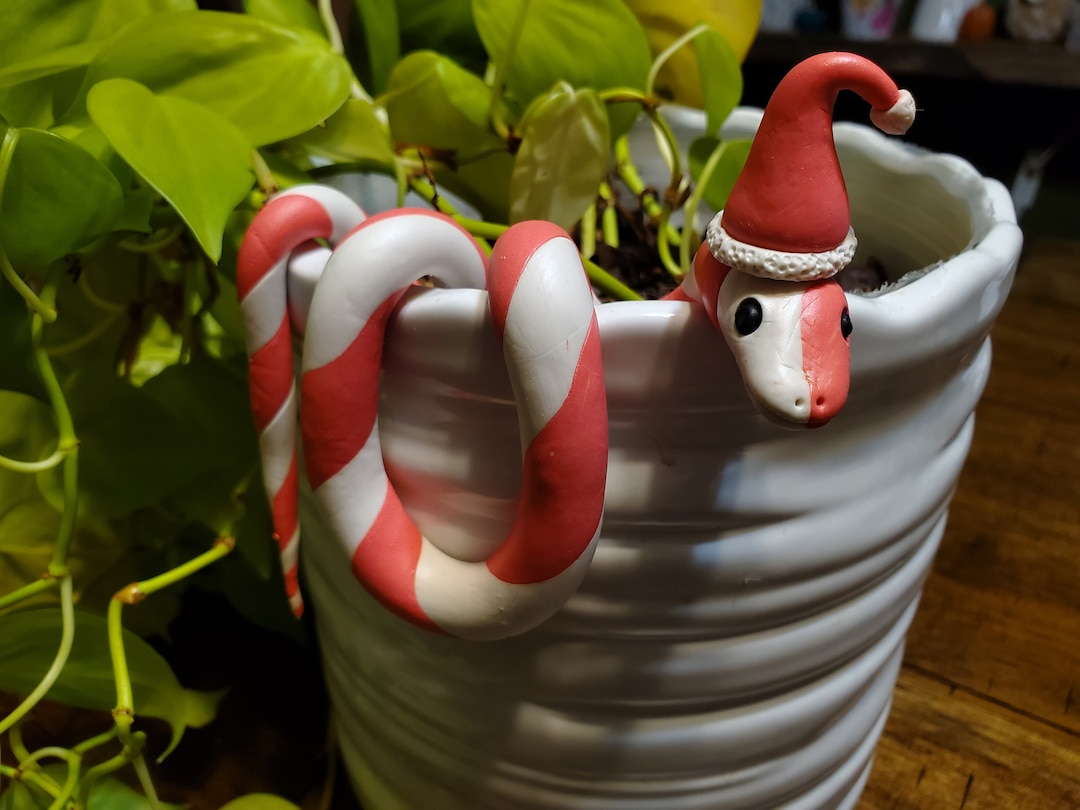 Candy Cane Snake Plant Pal Accessory - Etsy