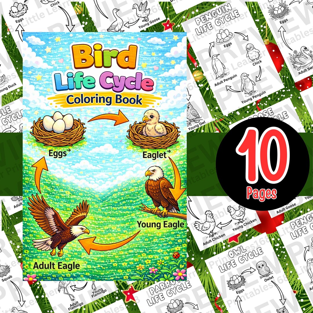 Bird Life Cycle Coloring Book, Kids Science Activity, Printable ...