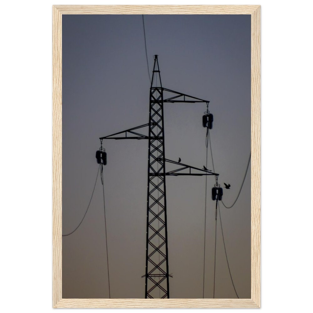Sunset Birds Pylon Photography Art Print - Etsy