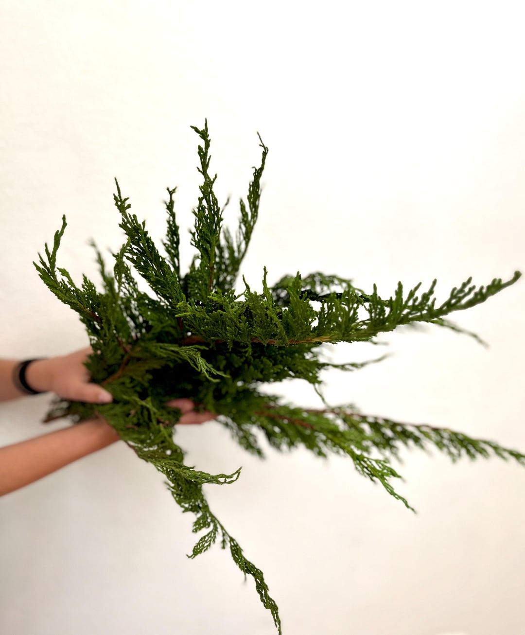 Real Juniper Branch Christmas Decor DIY Garland Fresh Garland Material ...