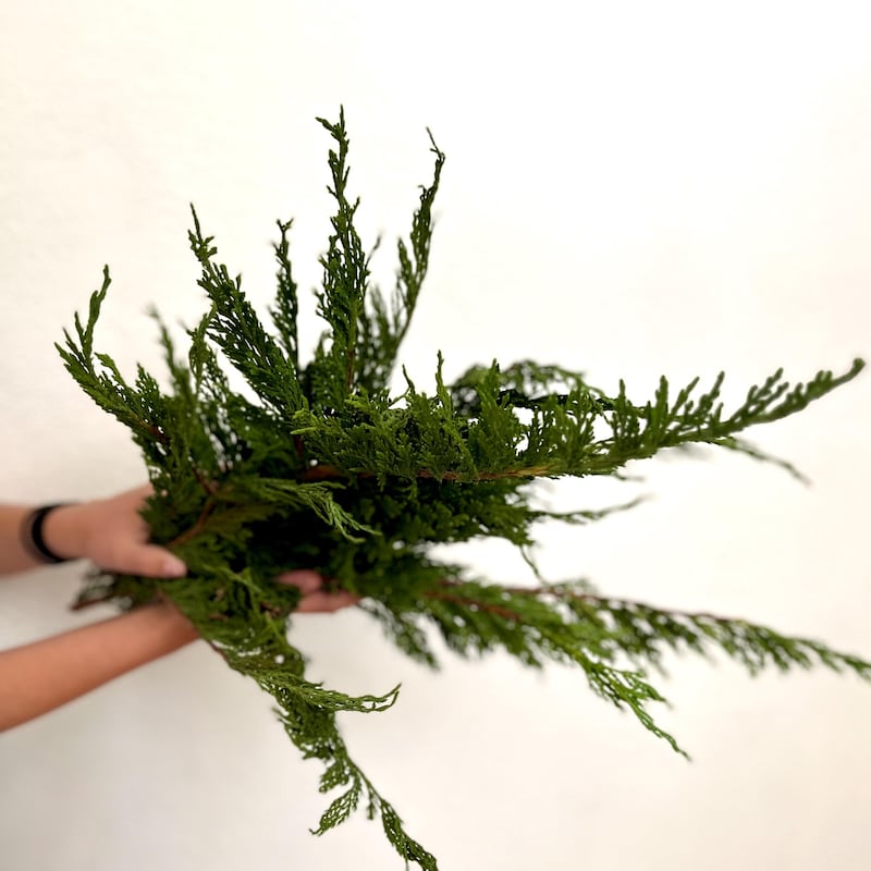 Juniper Home Decor - Etsy