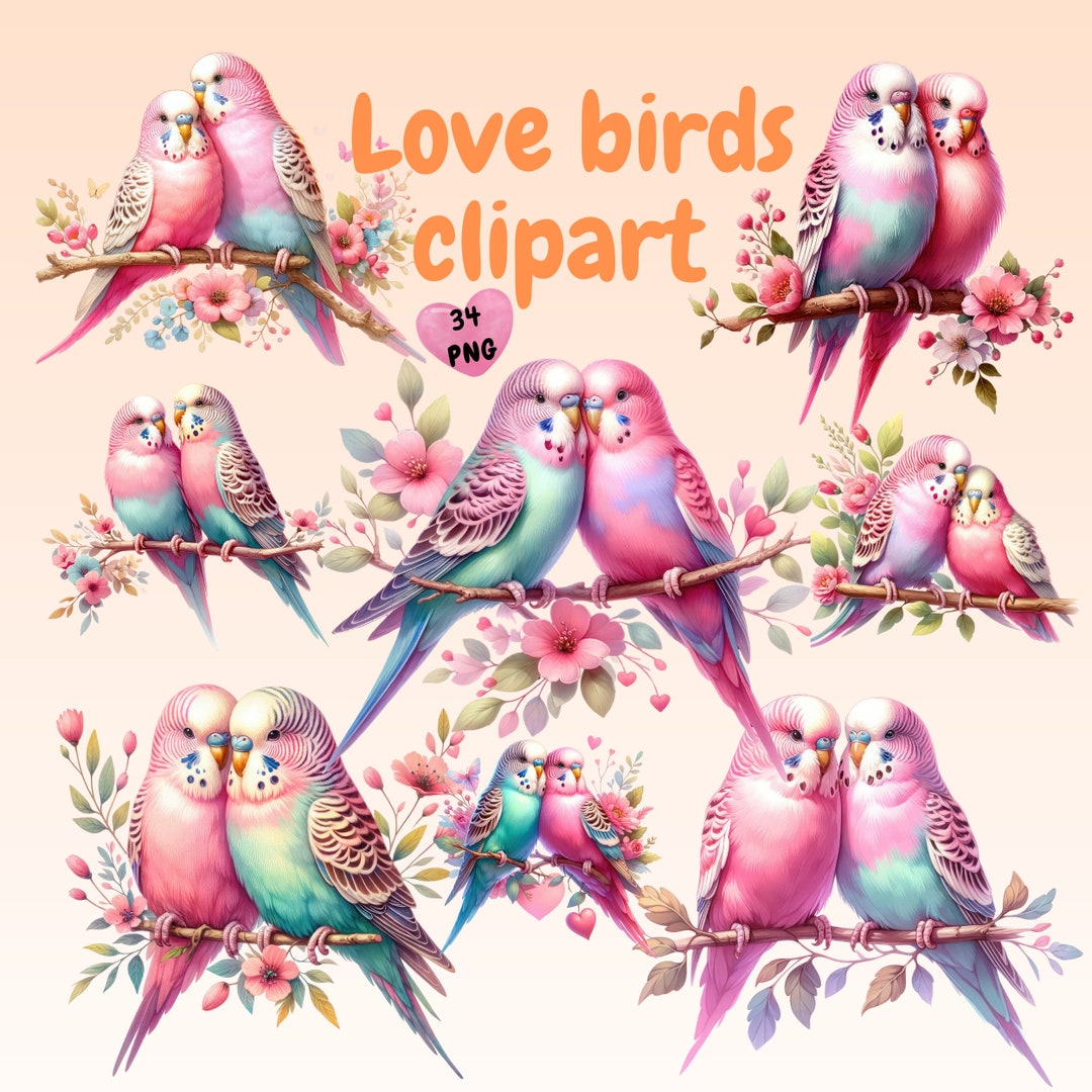 Love Birds Clipart PNG, Valentine Watercolor Clipart PNG, Couple ...