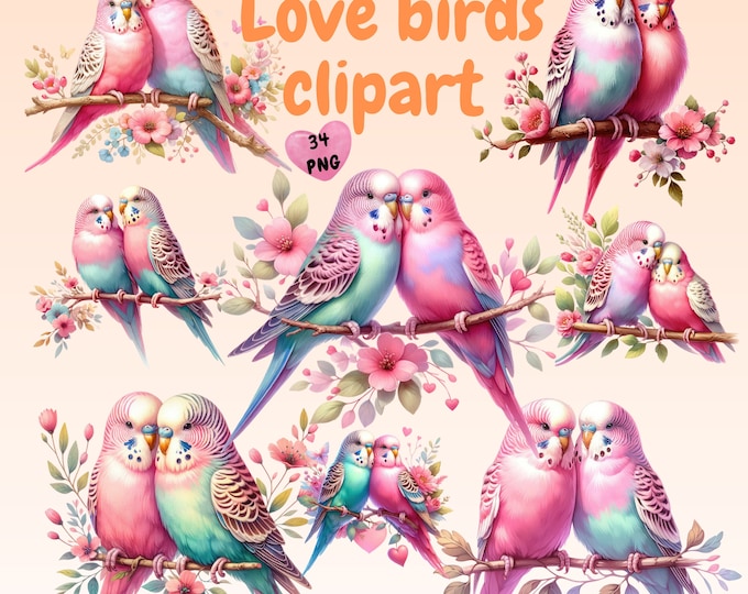 Love Birds Clipart PNG, Valentine Watercolor Clipart PNG, Couple ...