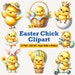 Easter Chick Clipart, Cute Spring PNG Images (commercial Use) - Etsy