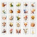 Cute Spring Garden Bugs Clipart, Snail, Bee, Butterfly (300 DPI) - Etsy