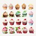 Watercolor Cupcake Clipart Bundle, Dessert Clipart, Cupcake PNG, Sweets ...