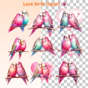 Love Birds Clipart PNG, Valentine Watercolor Clipart PNG, Couple ...