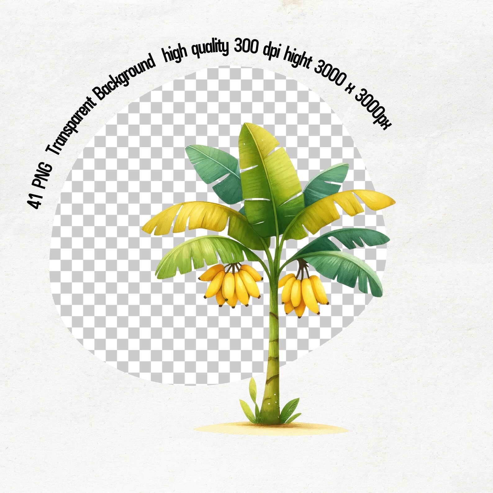 Cute Spring Garden Clipart, Animals, Flowers (PNG, 300 DPI) - Etsy