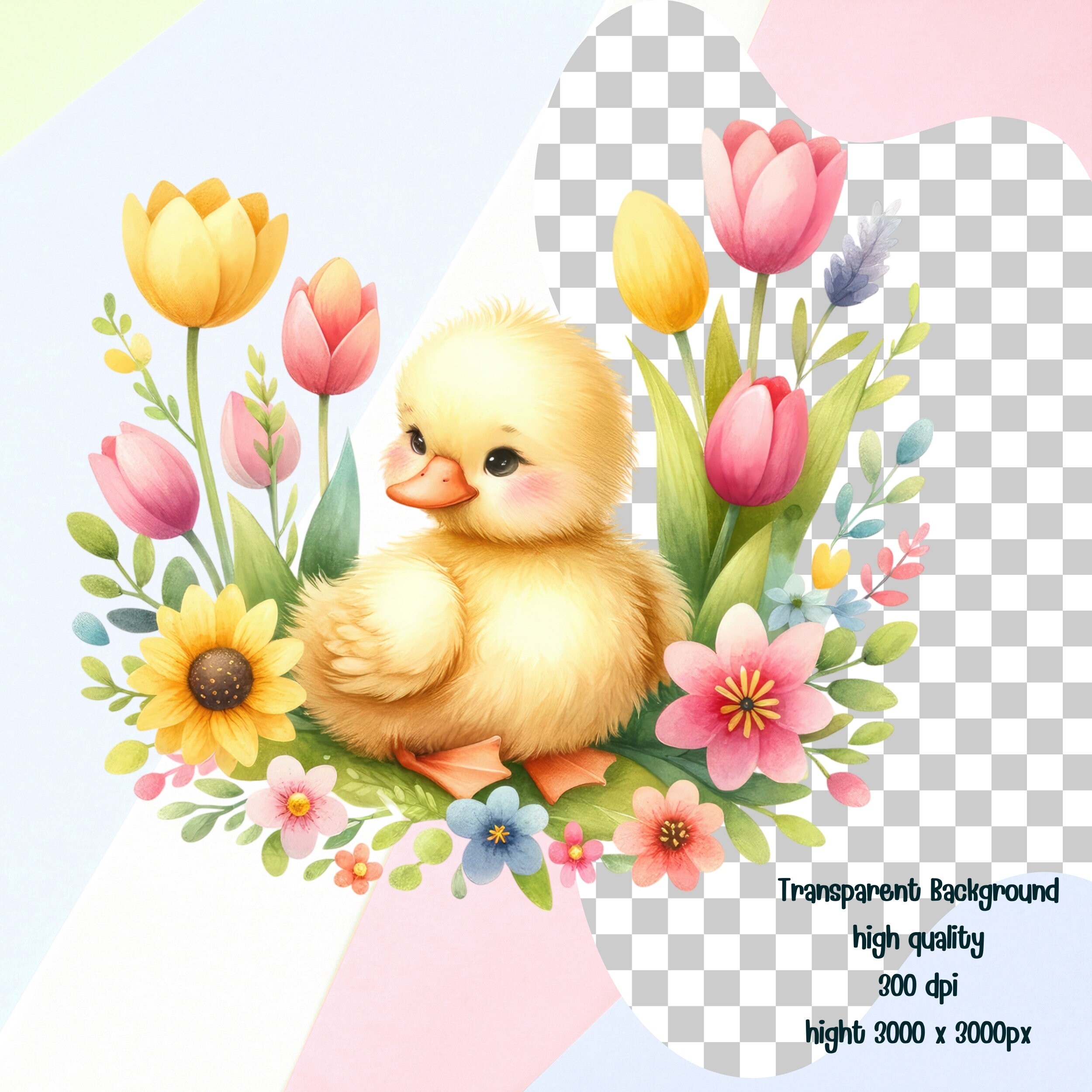 Watercolor Easter Duck Clipart: Spring PNG Graphics (digital Download ...
