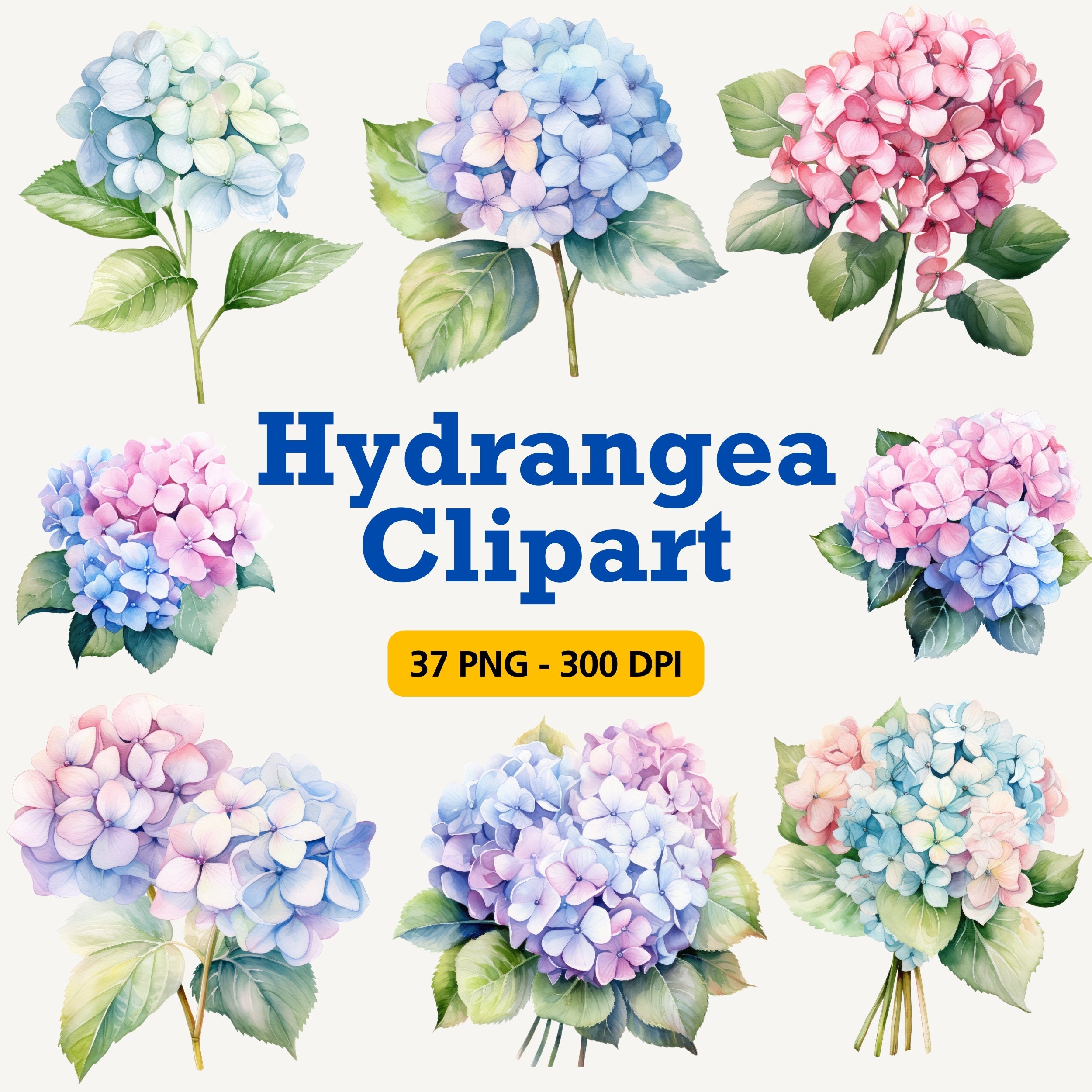 Watercolor Hydrangea Flowers Clipart - Floral Spring Bouquets in PNG ...