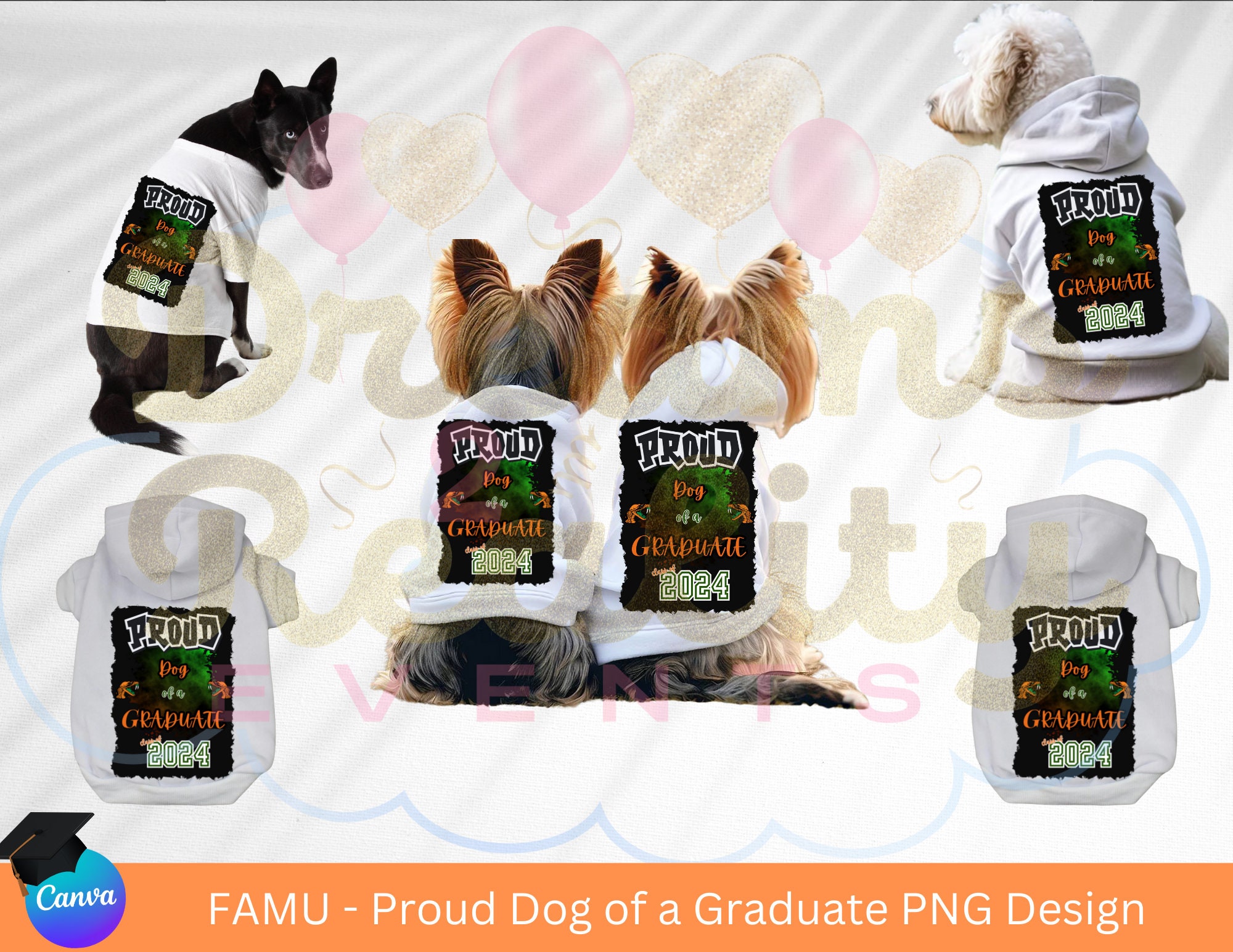 Florida A&M, FAMU, HBCU Proud Graduate 2024 PNG Mega Bundle, Graduation ...