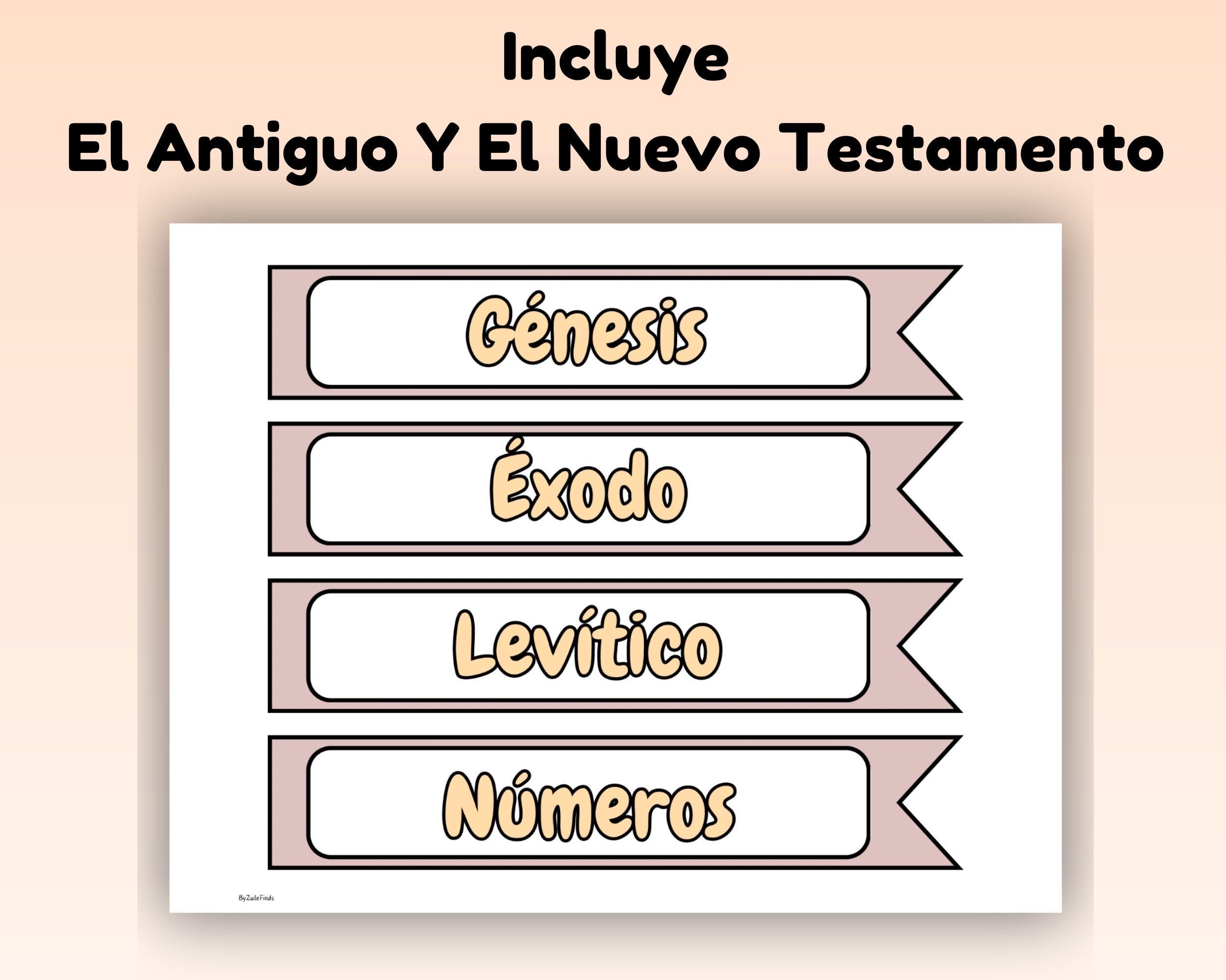 Libros De La Biblia Para Enseñar En Tu Clase De Escuela Dominical O Con ...