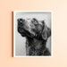 Dog Portraits Printable Dog Artwork for Every Dog Enthusiast | Digital ...