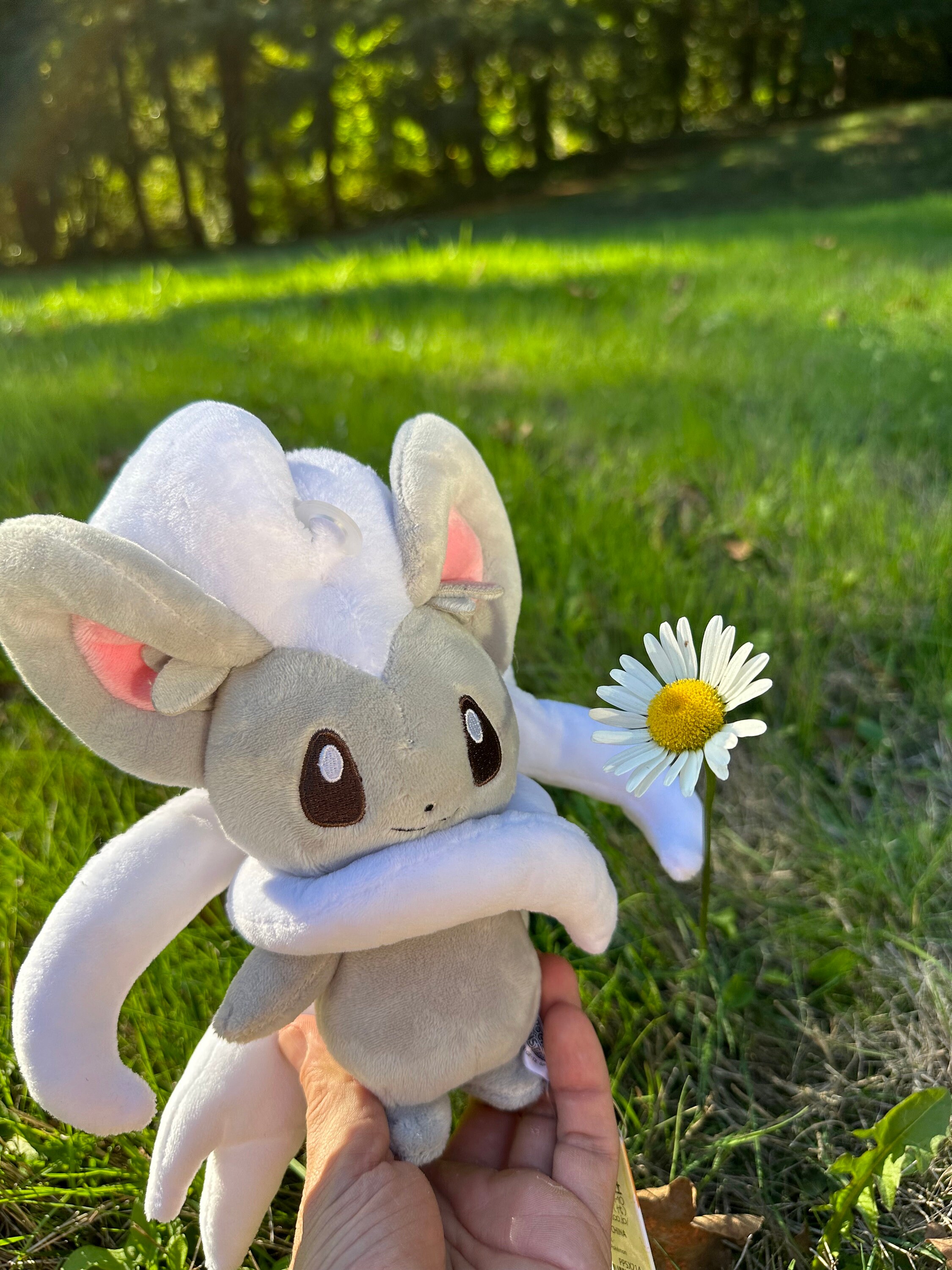 Cinccino Plush