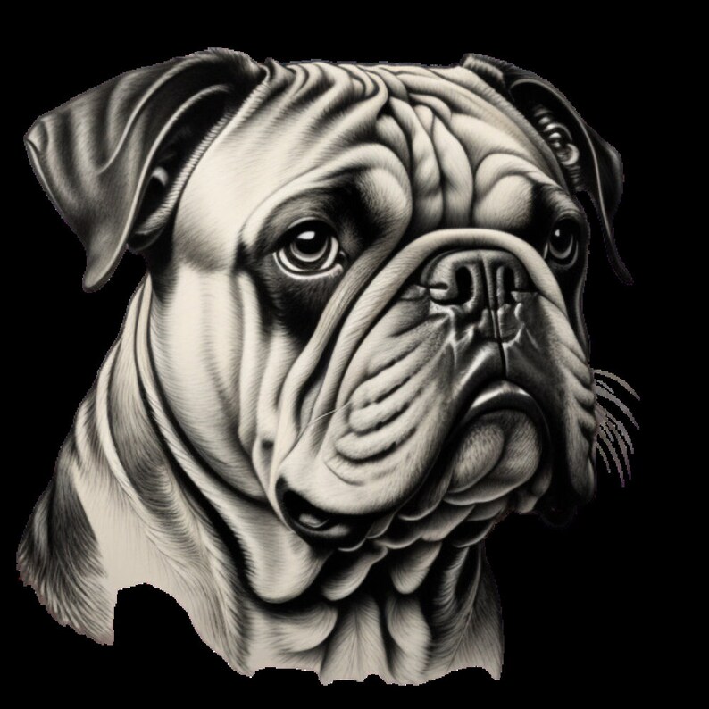 Bulldog Bundle Dfx, Eps, Pdf, Png ,svg Print, Engrave, T-shirts ...
