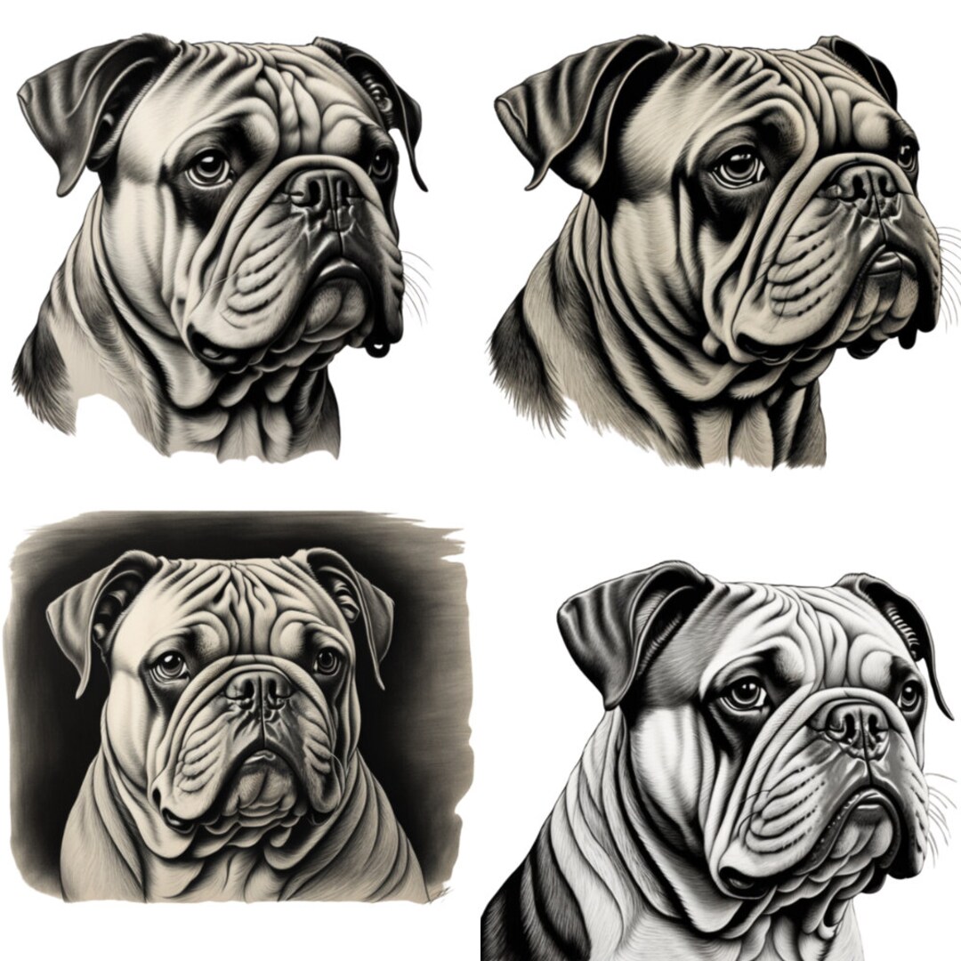 Bulldog Bundle Dfx, Eps, Pdf, Png ,svg Print, Engrave, T-shirts ...