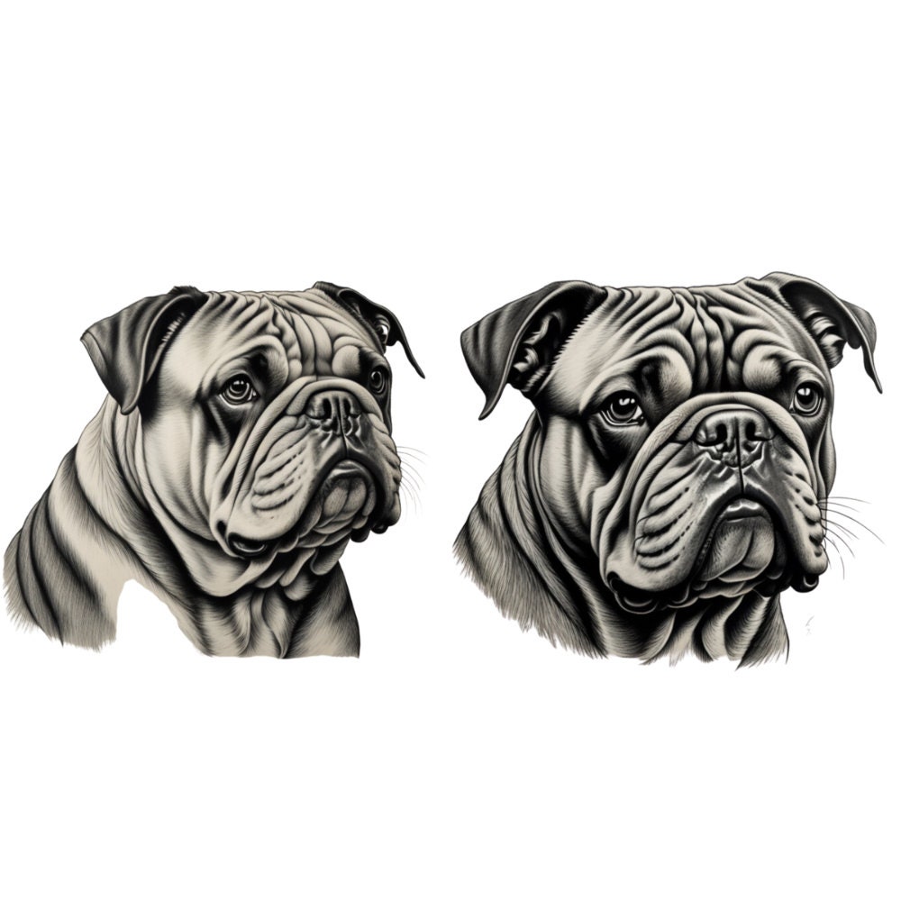 Bulldog Bundle Dfx, Eps, Pdf, Png ,svg Print, Engrave, T-shirts ...