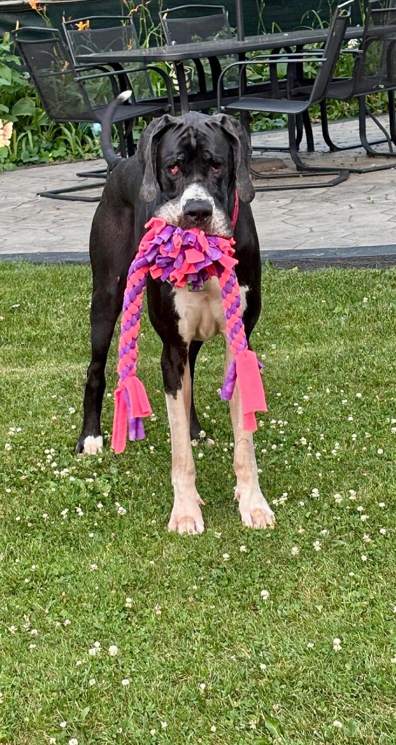 Giggler Enrichment Snuffle Ball – Scent Game Toy for Smart Pets - Etsy