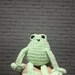 Chunky Leggy Frog No Sew PDF Pattern Only - Etsy
