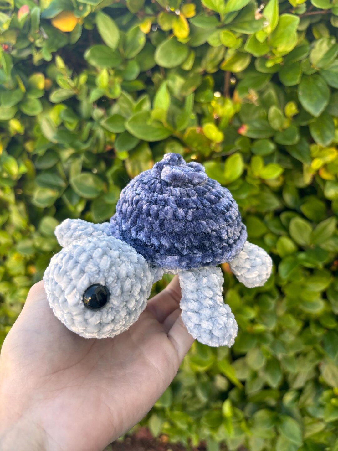 Crochet Baby Blueberry Turtle - Etsy