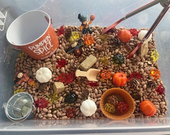 Pumpkin Halloween Sensory Bin for Toddlers, Fall, Autumn, Activity ...