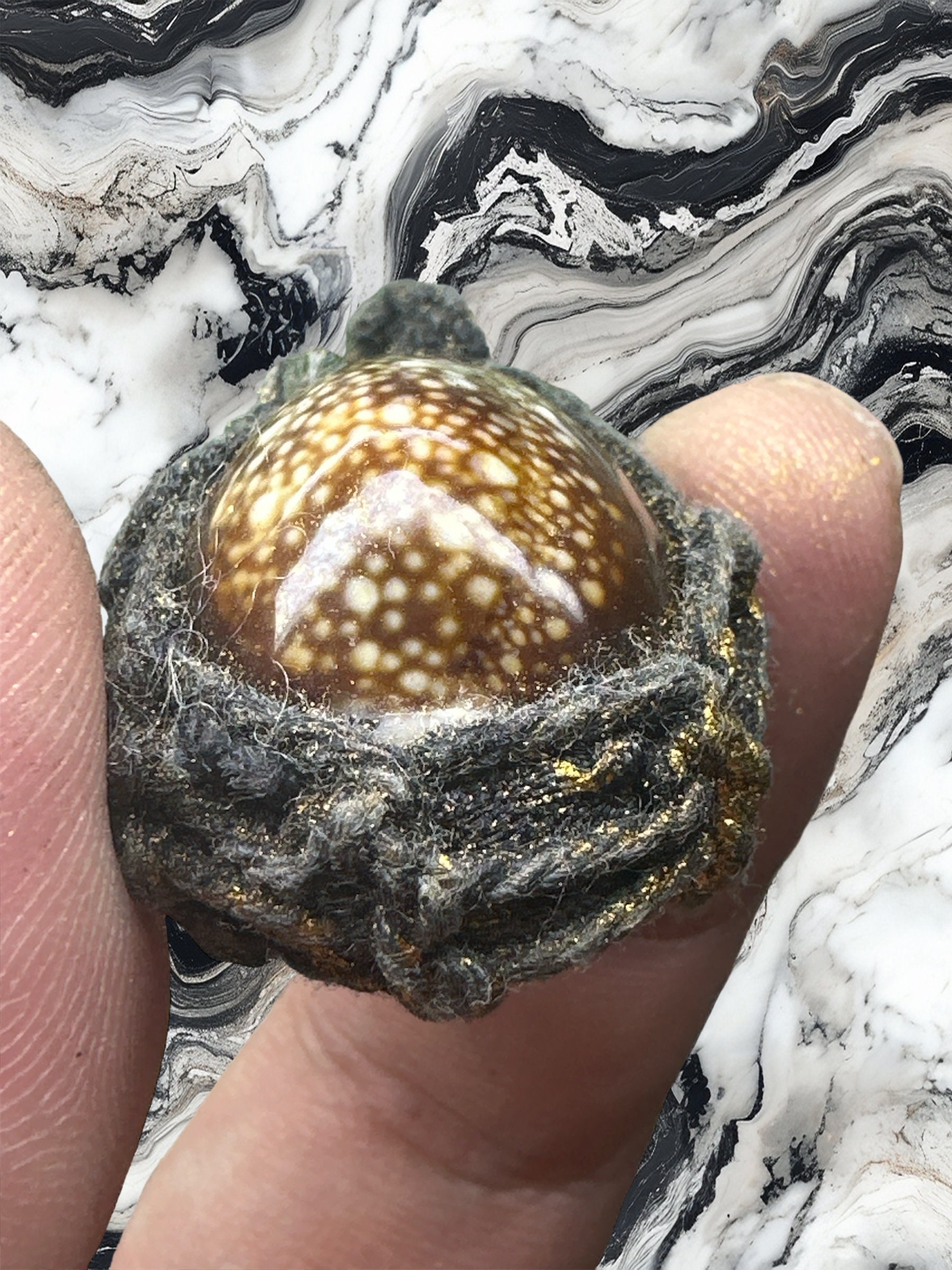 An Ancient Amulet Designed to Ward off Evil. A Place of Worship is ...