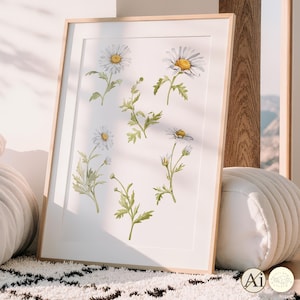 Watercolor Daisy Clipart Set, Floral PNG Graphics (digital Download) - Etsy