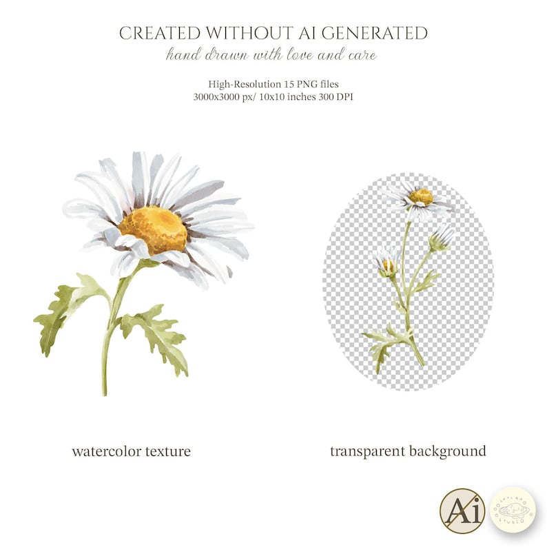 Watercolor Daisy Clipart Set, Floral PNG Graphics (digital Download) - Etsy