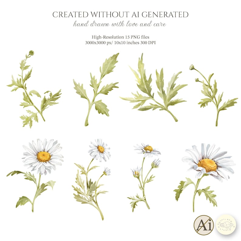 Watercolor Daisy Clipart Set, Floral PNG Graphics (digital Download) - Etsy