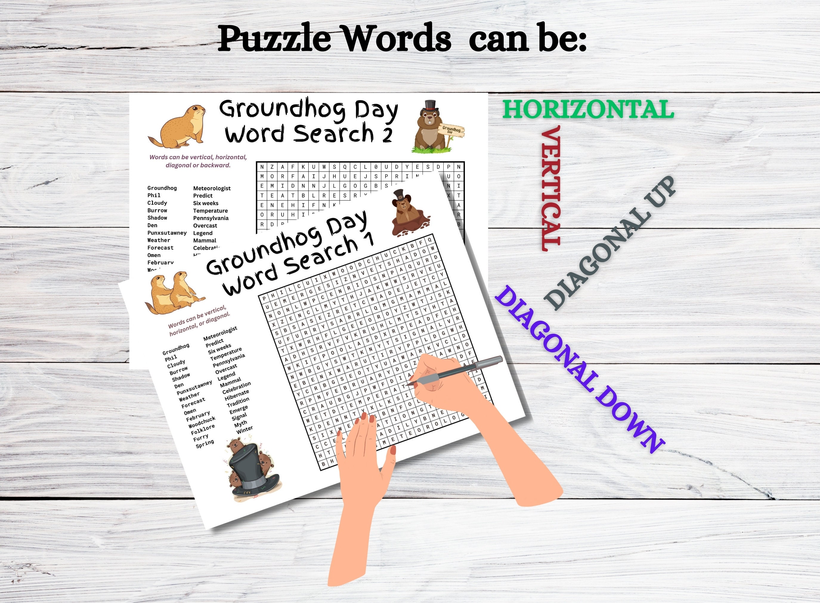 Groundhog Day Word Search, Family Fun Night Puzzle, Classroom Activity ...