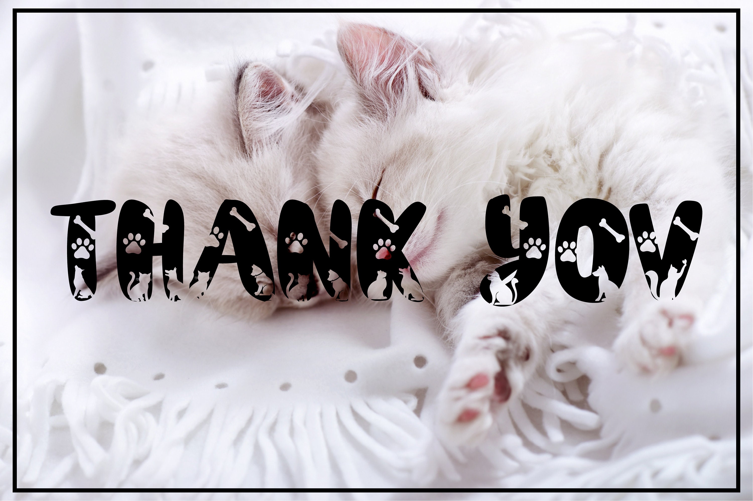 Cat and Dog, Display, Font, Decorative, Font, Specially - Etsy