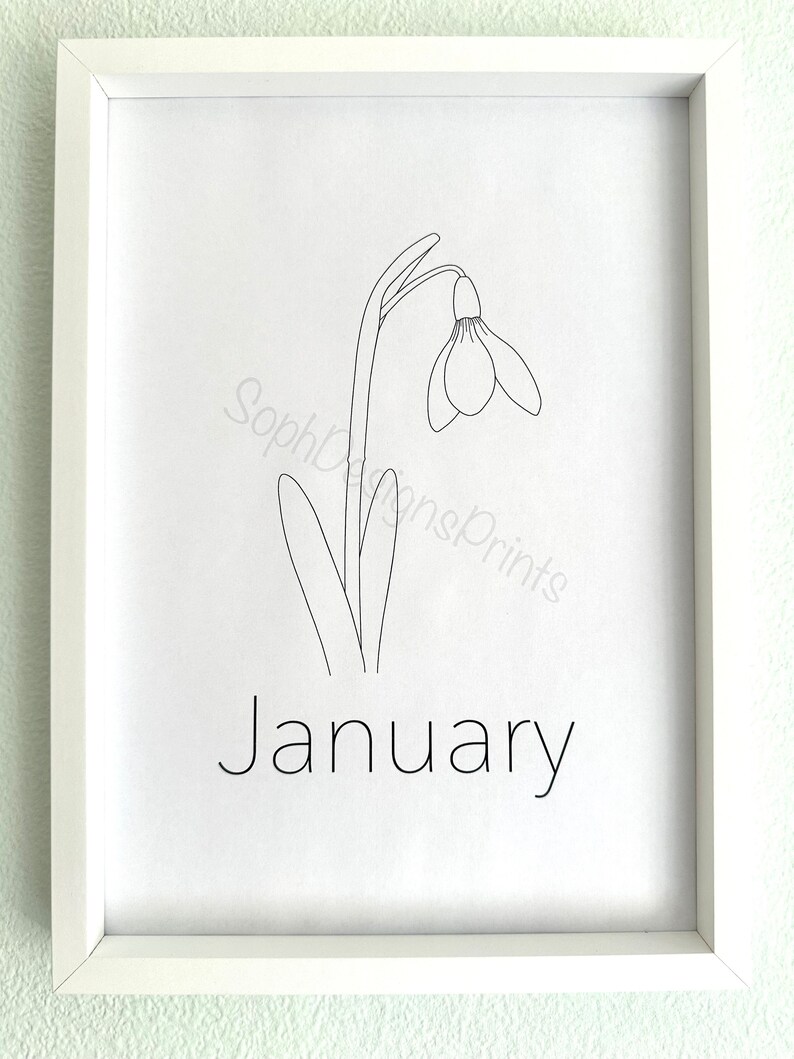January Birth Flower A4 Print - Etsy