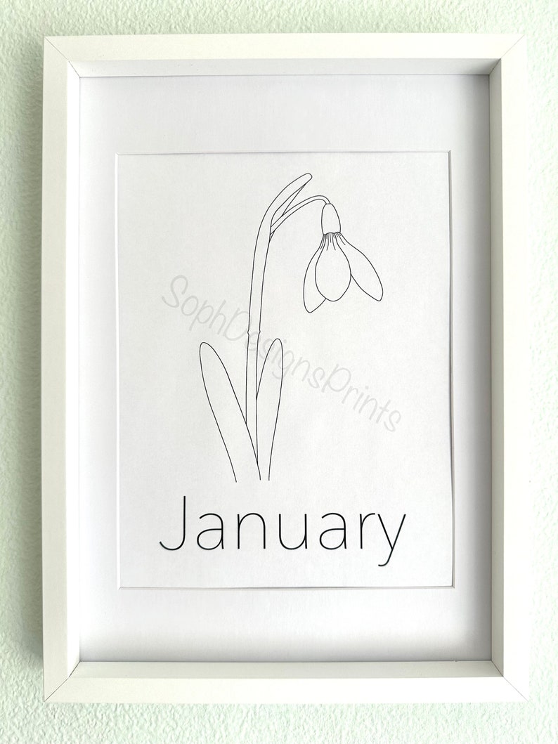 January Birth Flower A4 Print - Etsy