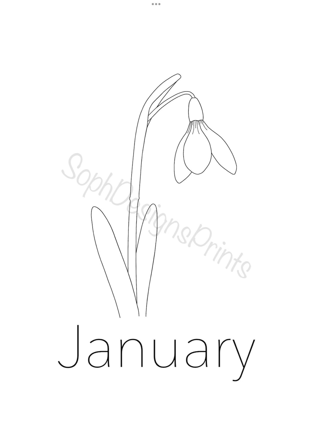 January Birth Flower A4 Print - Etsy