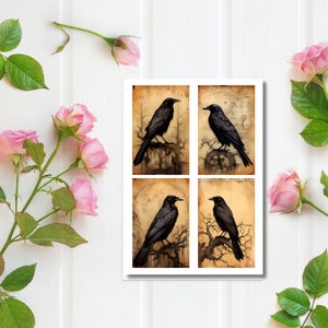 Black Raven Crow Junk Journal Kit, Bird Mixed Media, Journaling Kit ...