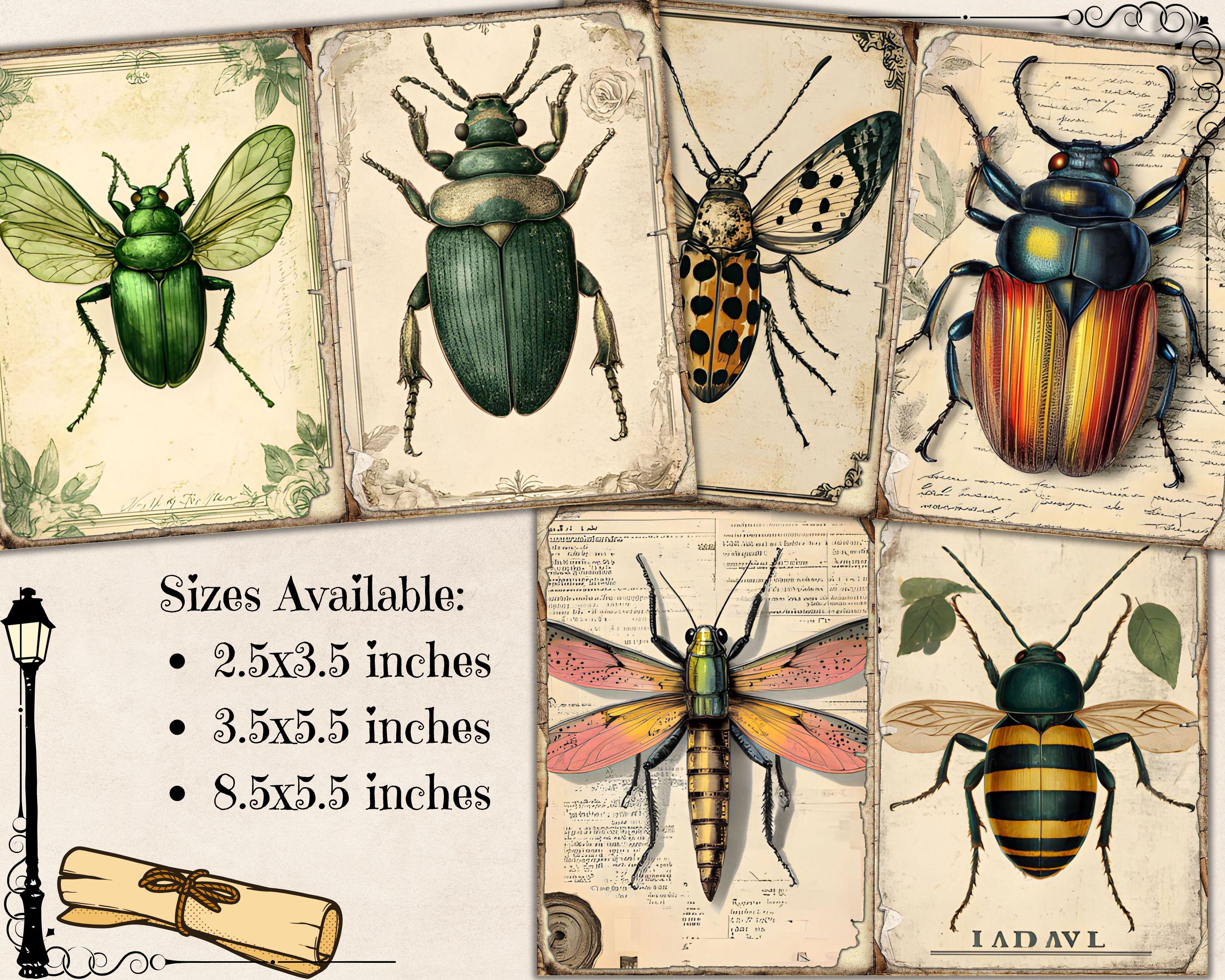 Vintage Insects Junk Journal, Insect Bug Printable Ephemera, Vintage ...