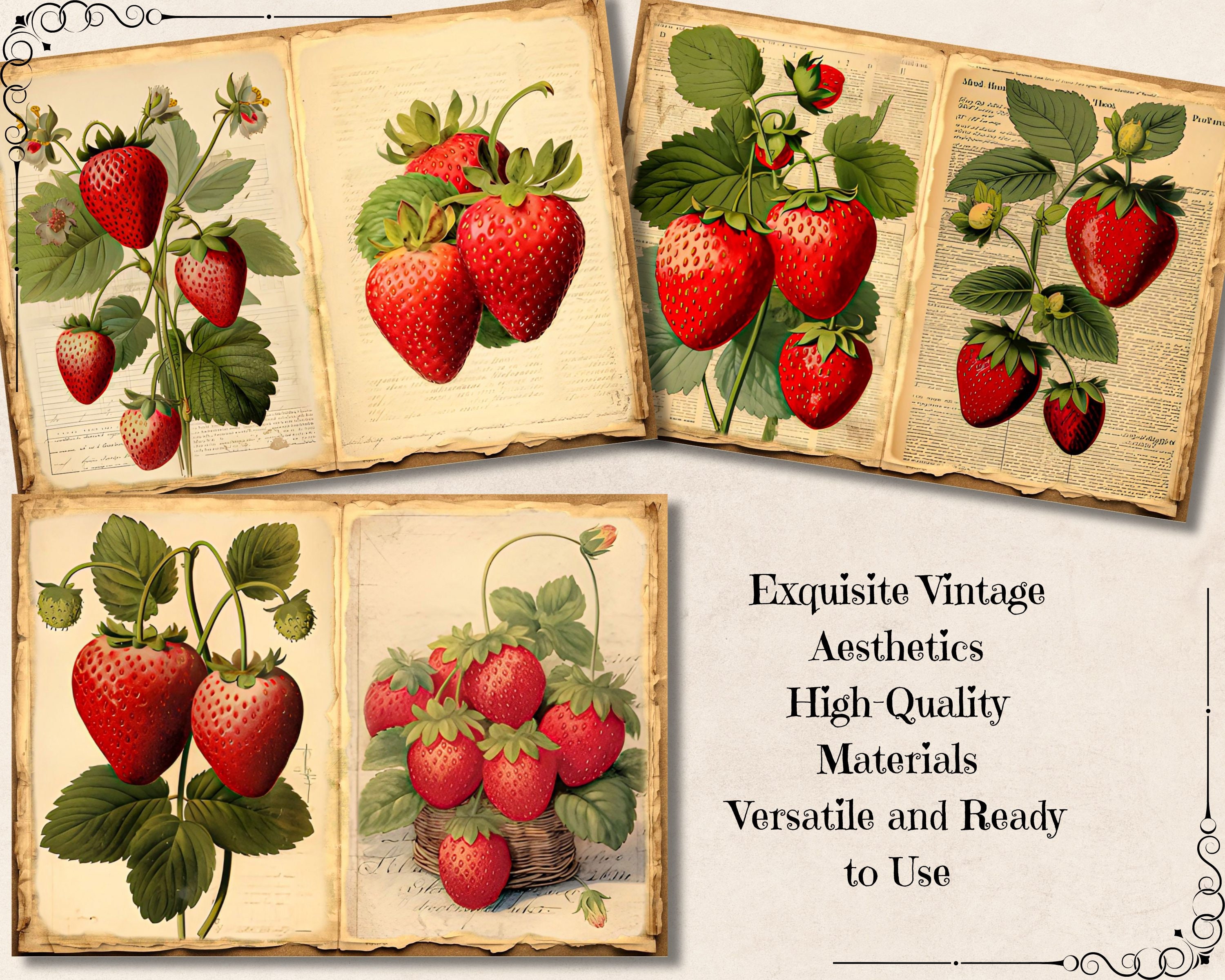 Strawberries Junk Journal Page, Strawberry Fruit Printable Ephemera ...