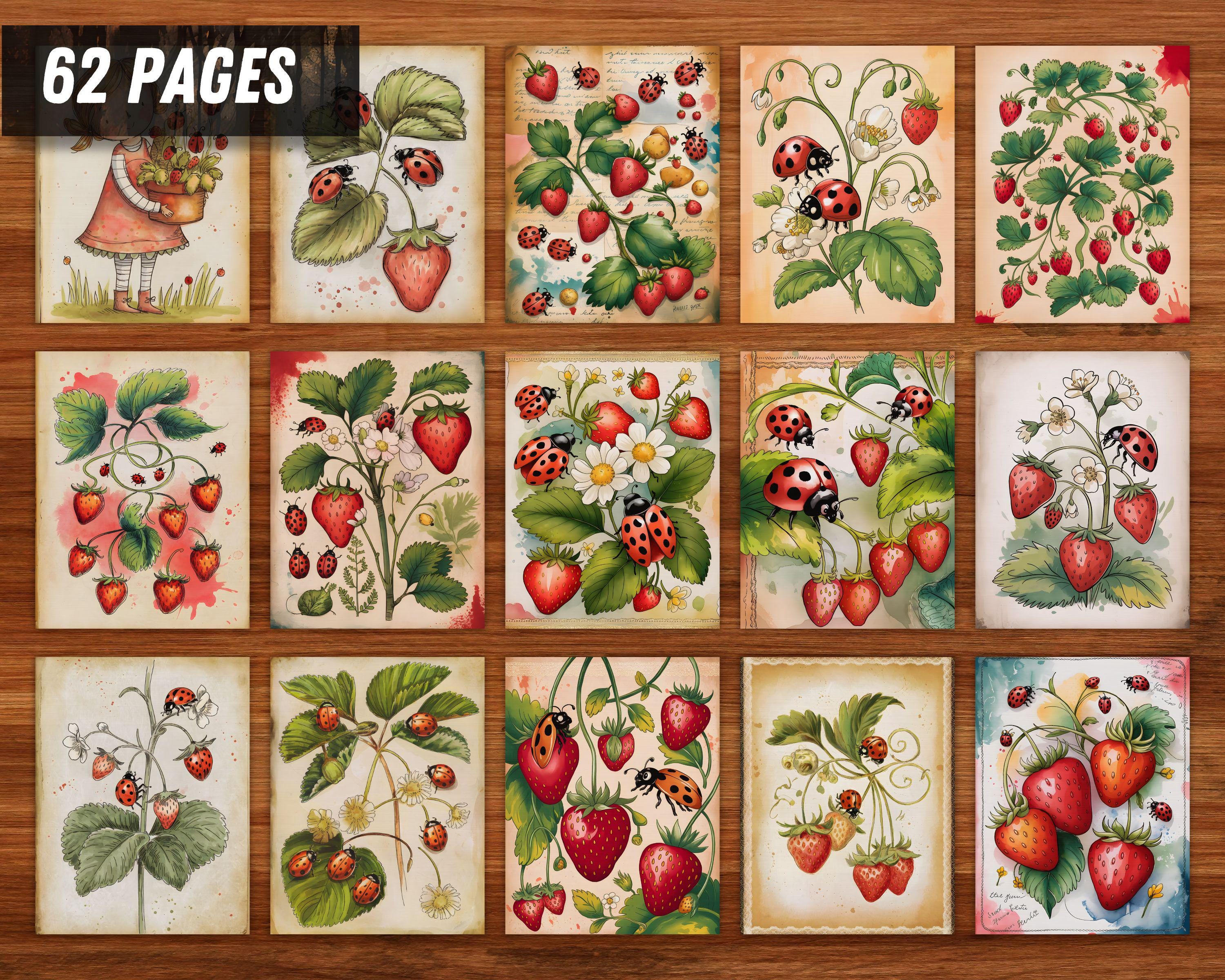 Quirky Ladybug Junk Journal Pages • Vintage 62 Printable Papers • Cute ...