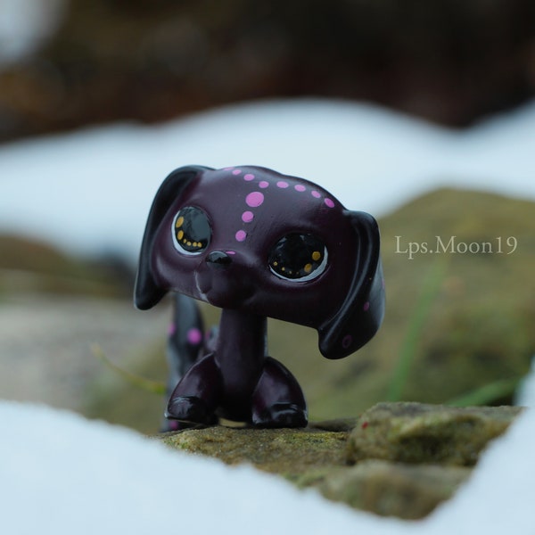 Lps Custom - Etsy